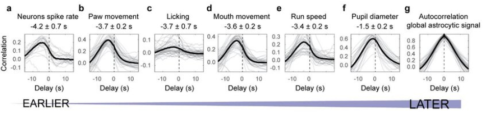 GPT-4o System Card | OpenAI
